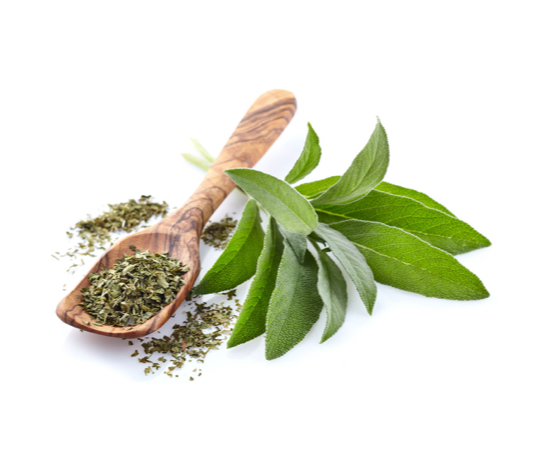 Proyar | Laboratorio de extractos vegetales